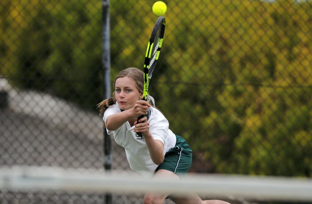 Ladders – APS Sport