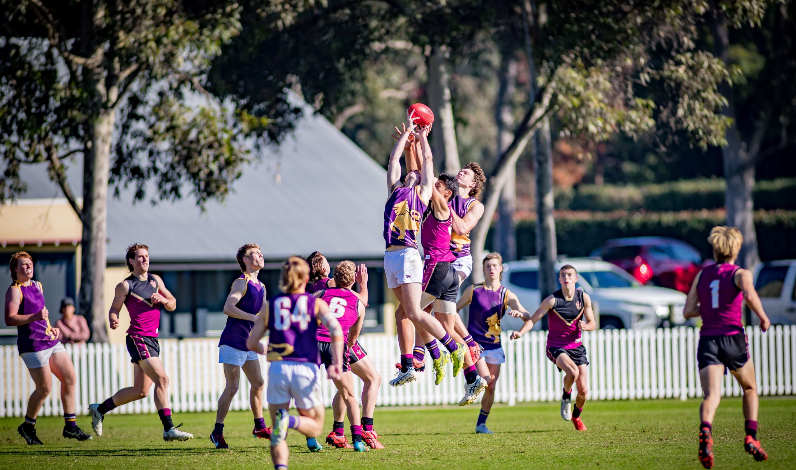 APS Sport – School Sport